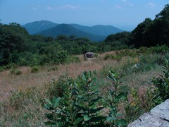 058 Thorofare Mountain Overlook View | Skyline Drive Overlooks ...